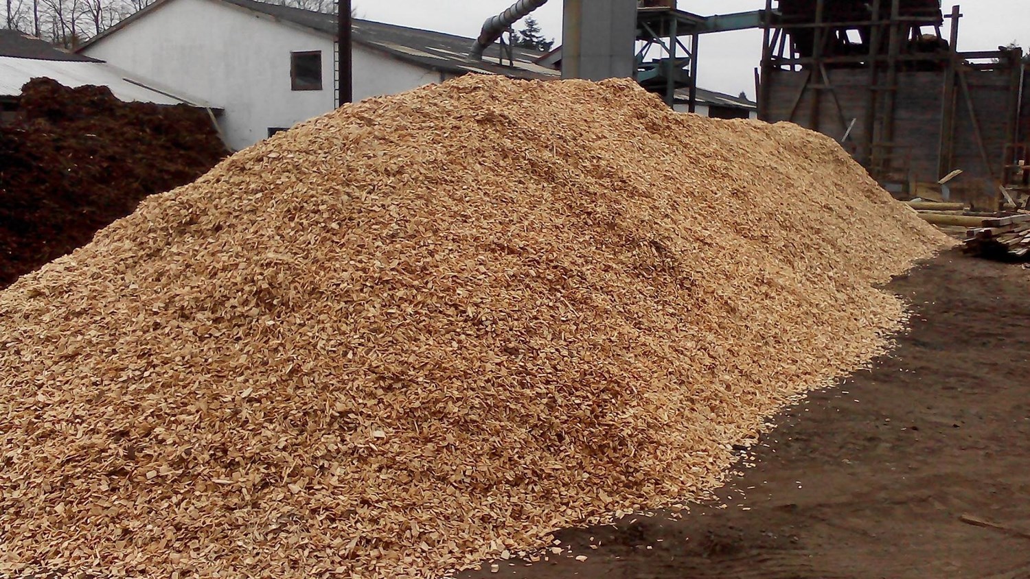 Køb & salg af træ | Opkøb af træ